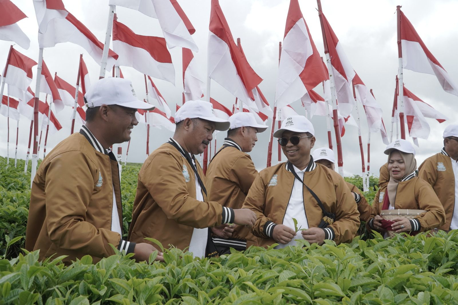Seabad Teh Kayu Aro, Holding Perkebunan Nusantara PTPN III (Persero ...